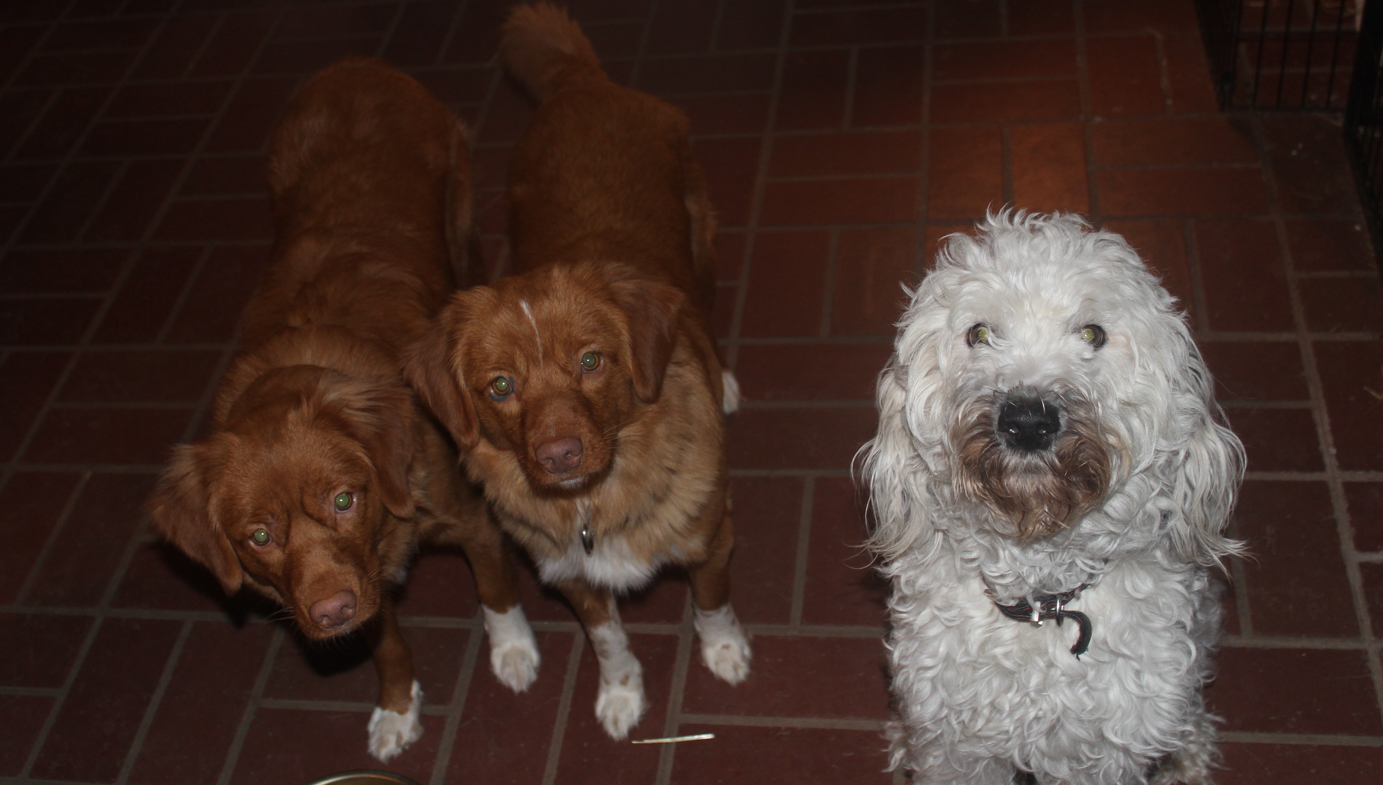 Contact – Weldon Ridge Ranch