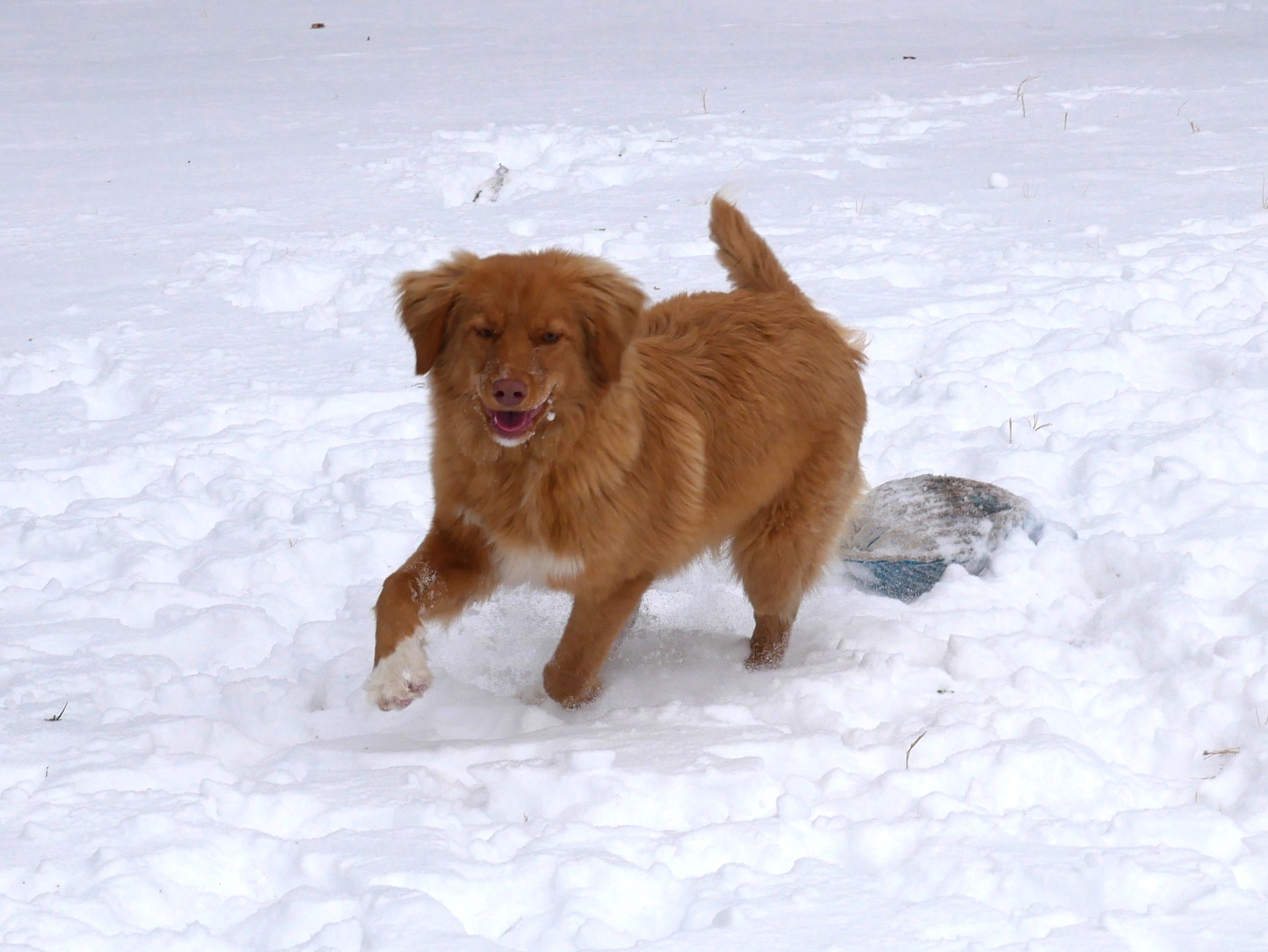 Weldon Ridge Ranch – At Weldon Ridge Ranch, we pride ourselves on the ...