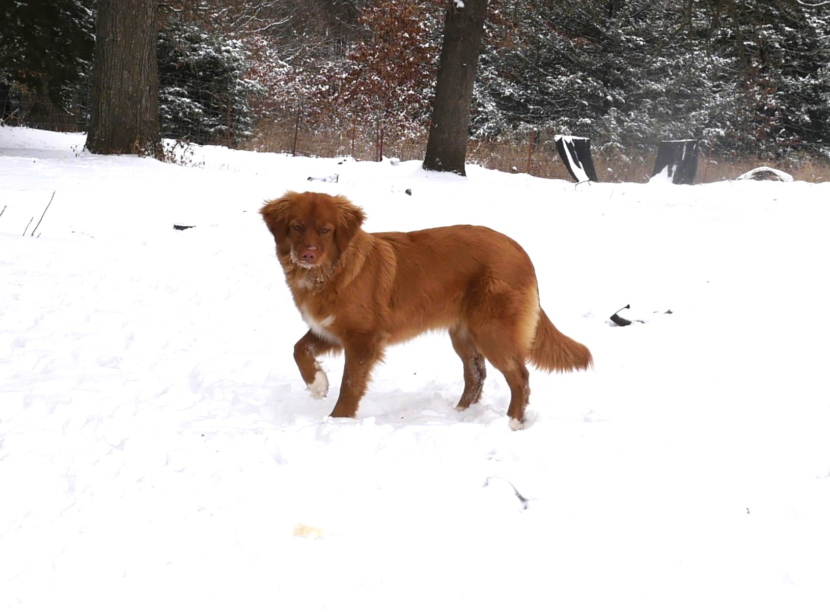 Weldon Ridge Ranch – At Weldon Ridge Ranch, we pride ourselves on the ...